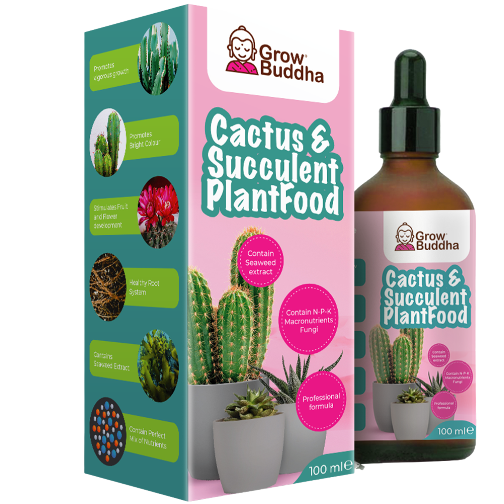 Cactus and Succulent Food Fertiliser - Liquid Concentrated Fertiliser ...